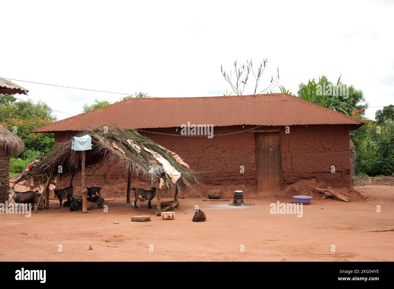 Rural scene with mud house, goats and shelter, small village, Hondjin ...