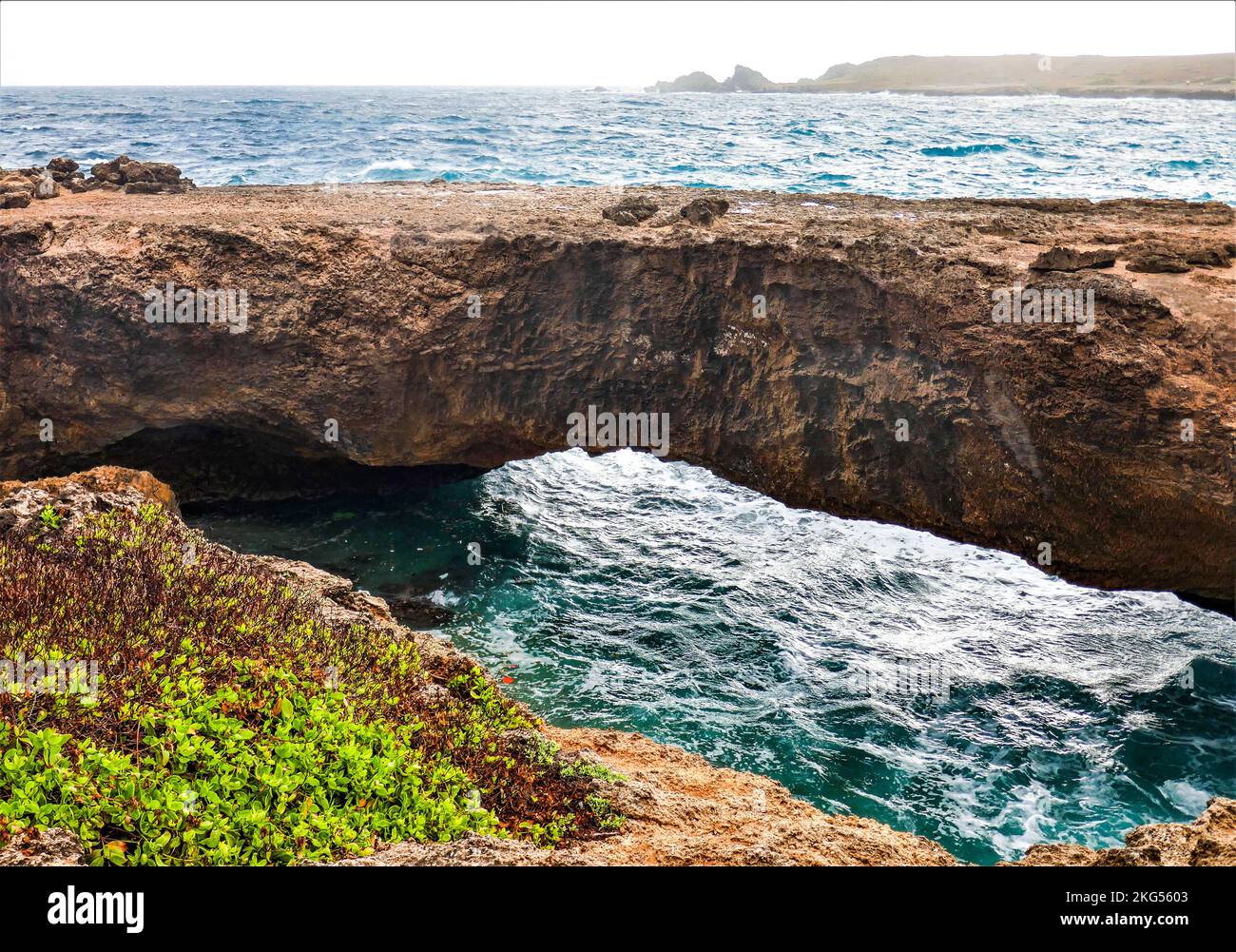 The coastline of the Caribbean island of Aruba Stock Photo - Alamy
