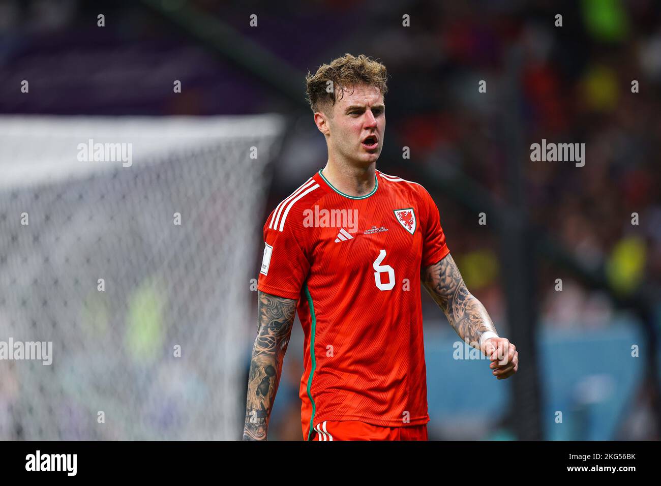 Joe Rodon during the FIFA World Cup Qatar 2022 Group B match between ...
