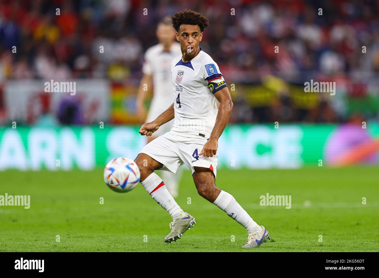 Tyler Adams during the FIFA World Cup Qatar 2022 Group B match between ...