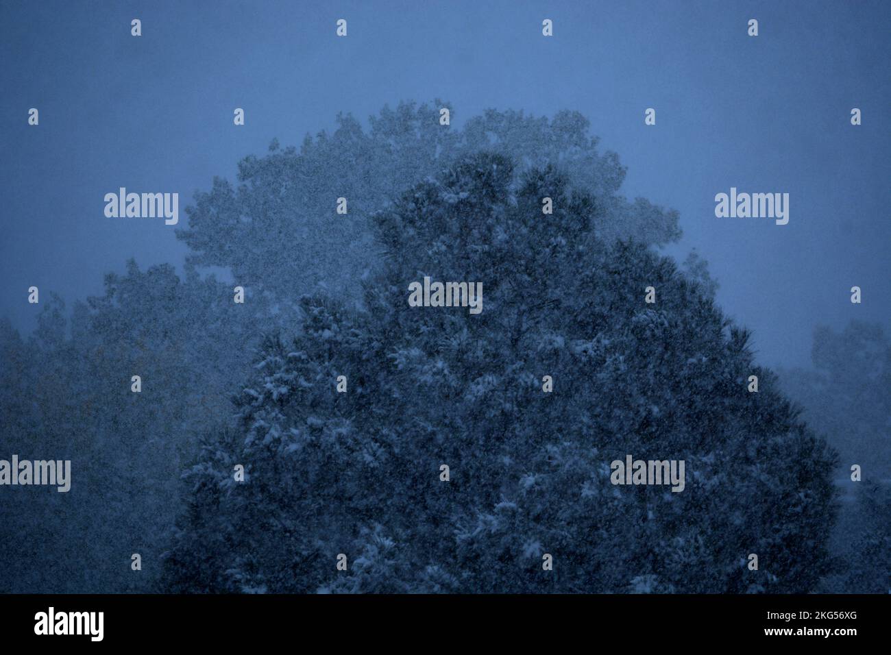 A snow storm in Santa Fe, New Mexico. (lightly colorized Stock Photo ...