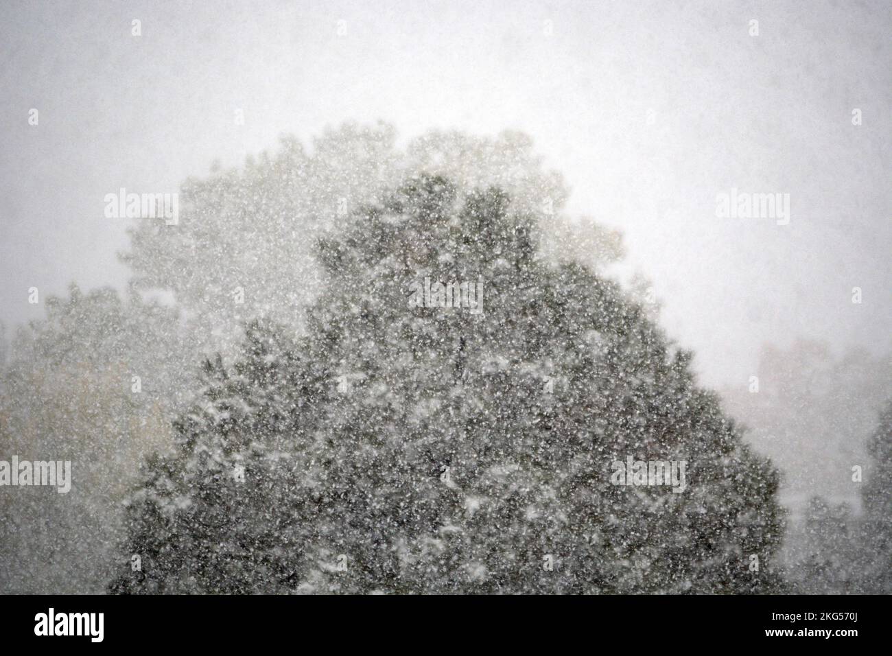 A heavy snowfall in Santa Fe, New Mexico Stock Photo - Alamy