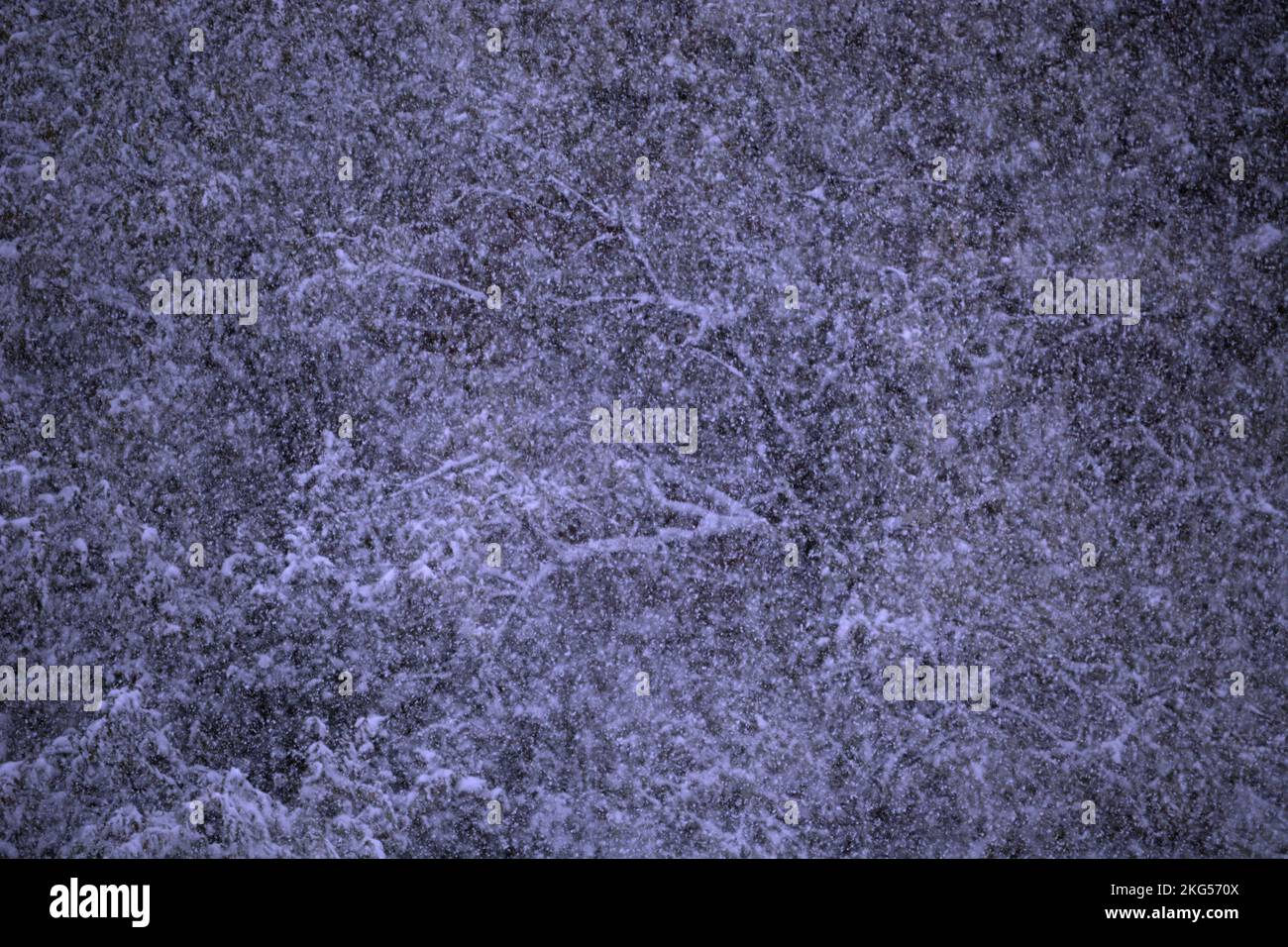 A snow storm in Santa Fe, New Mexico. (lightly colorized Stock Photo ...