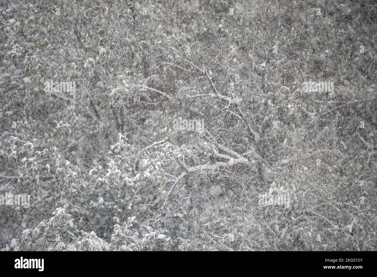 Us in snowfall hi-res stock photography and images - Alamy