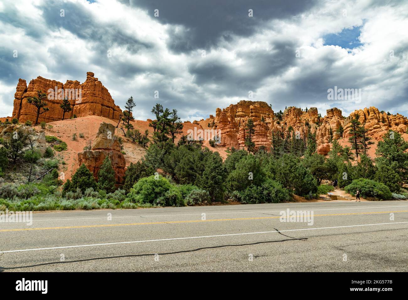 The red cliffs and green trees of the Dixie National Forest of Utah ...