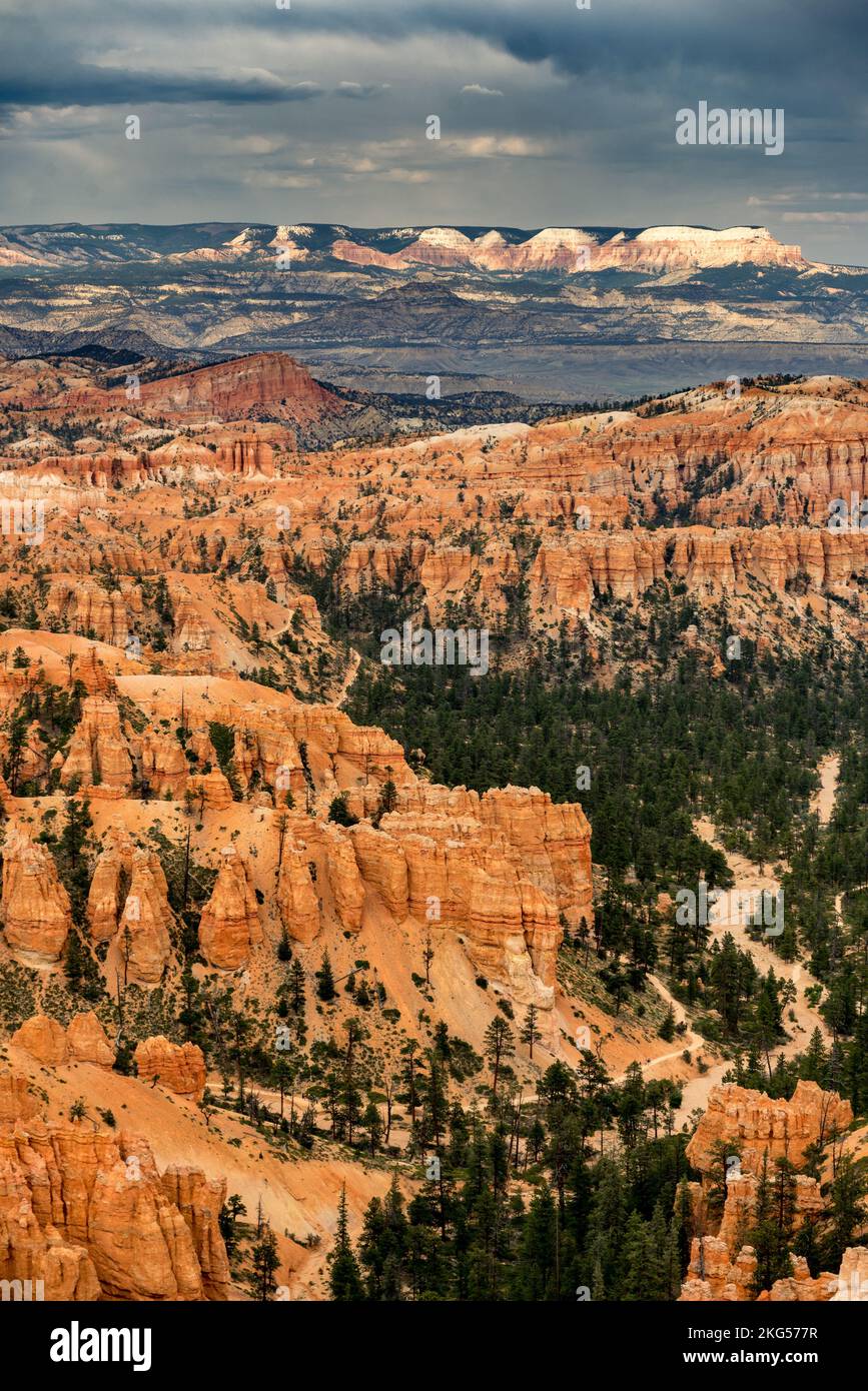 Dixie red hills utah hi-res stock photography and images - Alamy