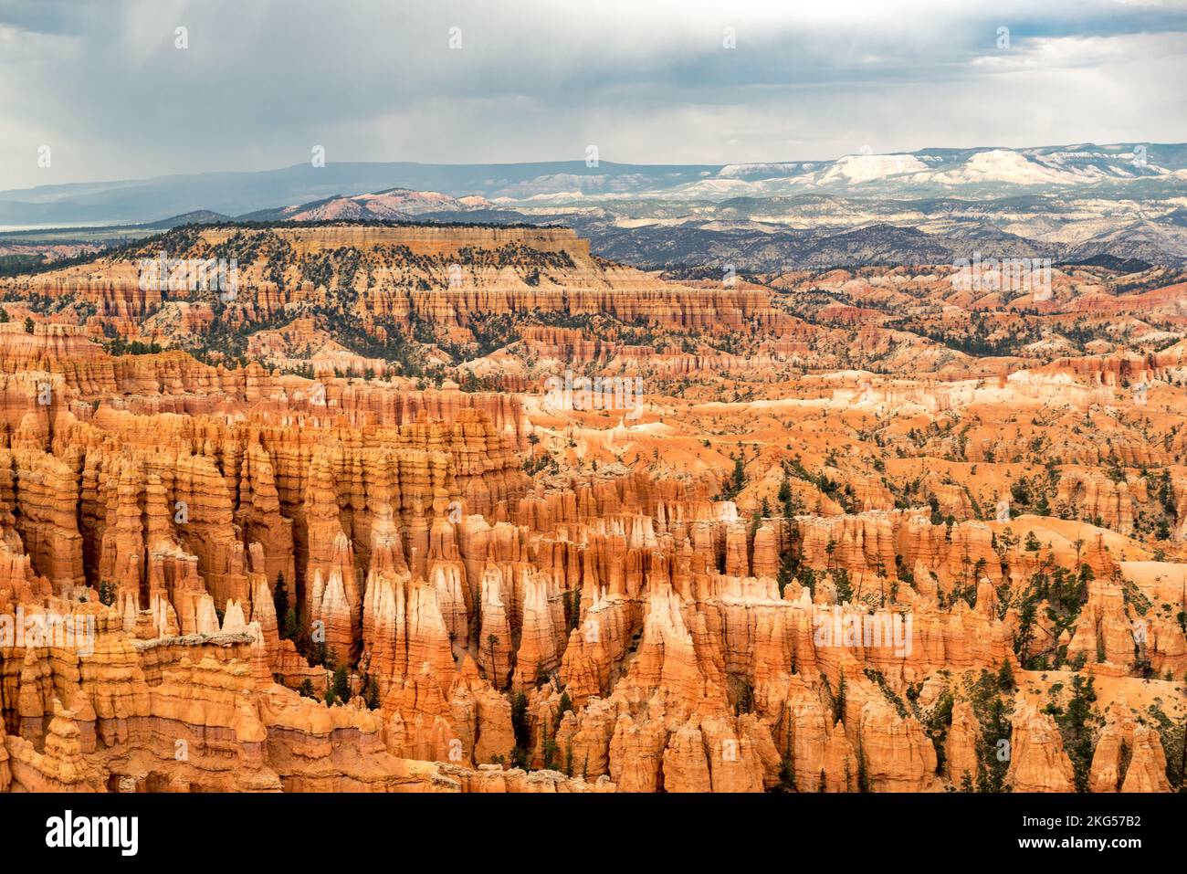 An aerial of the red Bryce canyon with green trees in the Dixie ...