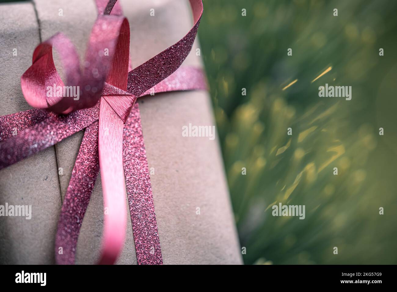 Close-up of christmas gift in green pine tree. bokeh light in the ...