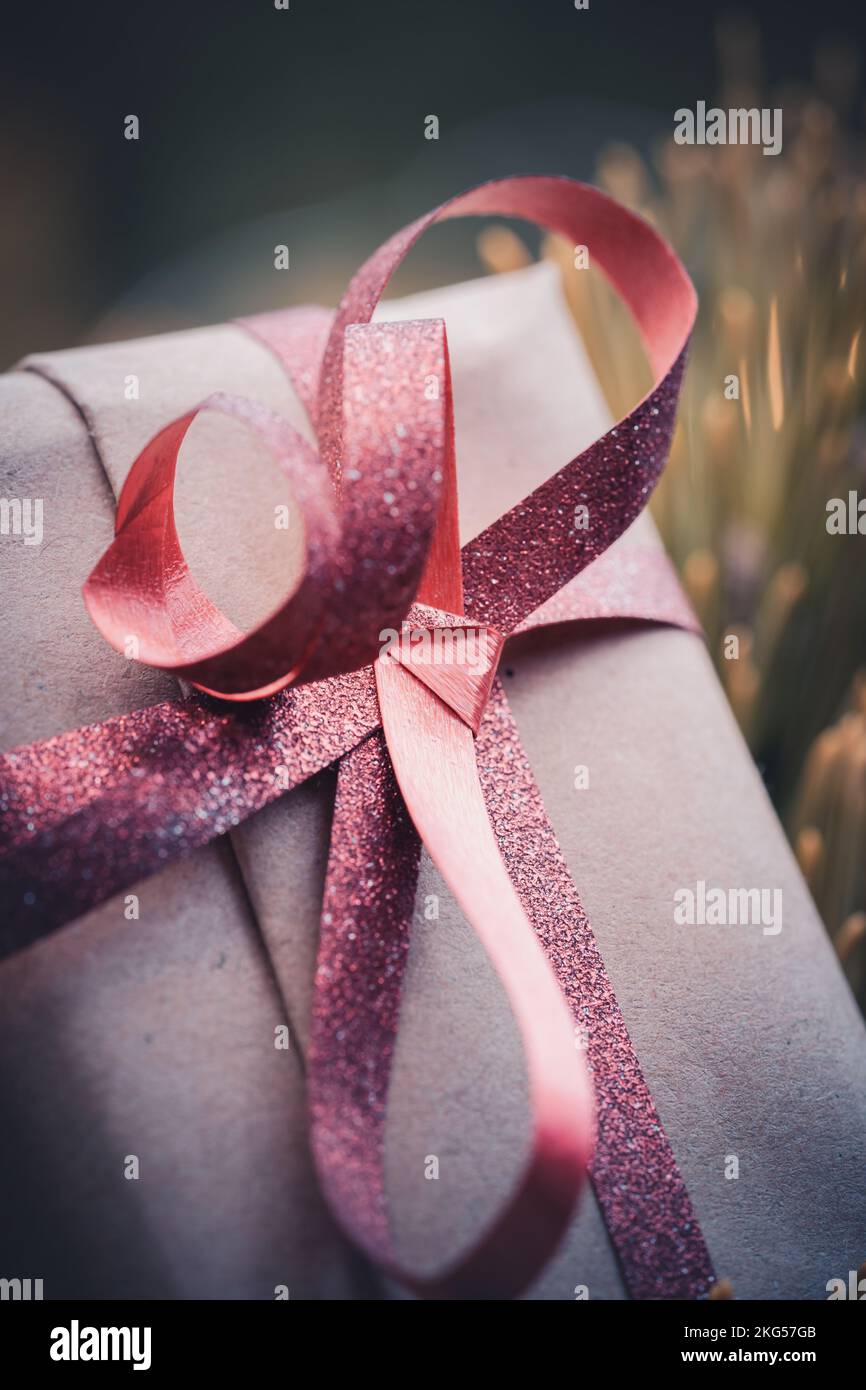 Close-up of christmas gift in green pine tree. bokeh light in the ...