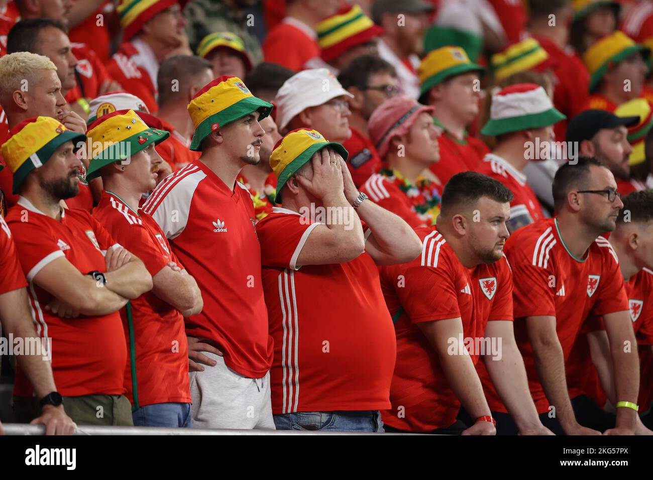 Al Rayyan, Qatar. 21st November 2022; Ahmed bin Ali Stadium, Al Rayyan ...