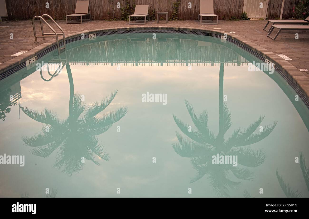 Palm trees reflected in pool water with sunbeds in villa at tropical resort of Miami in Florida ...