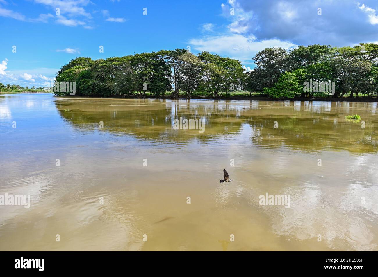 Sinu hi-res stock photography and images - Alamy