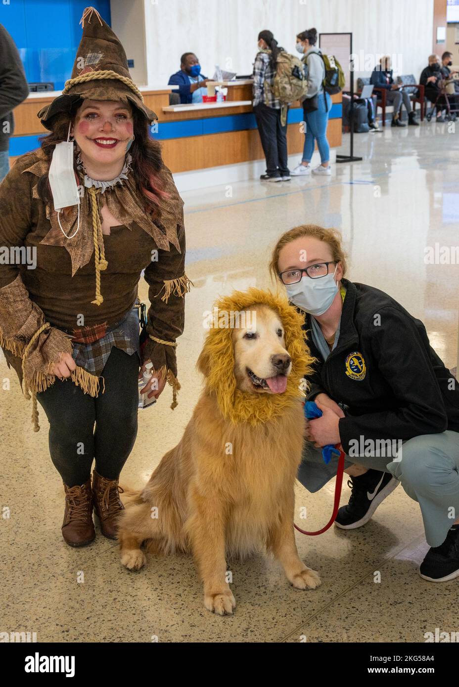 The WRNMMC Facility Dogs celebrated Halloween on 31 October 2022 at ...