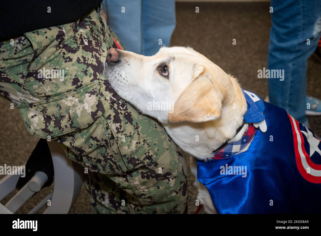The WRNMMC Facility Dogs celebrated Halloween on 31 October 2022 at ...