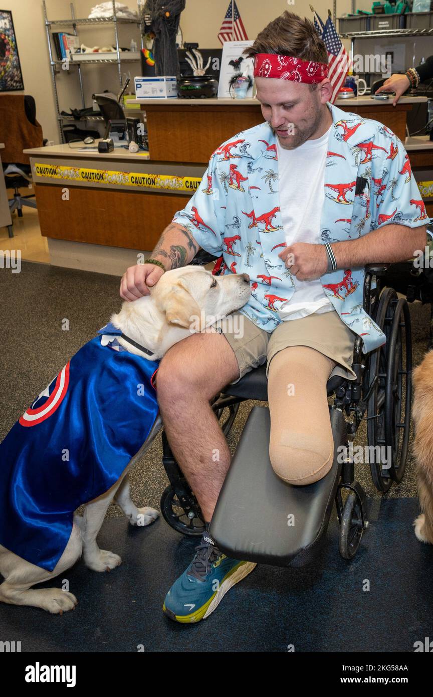 The WRNMMC Facility Dogs celebrated Halloween on 31 October 2022 at ...