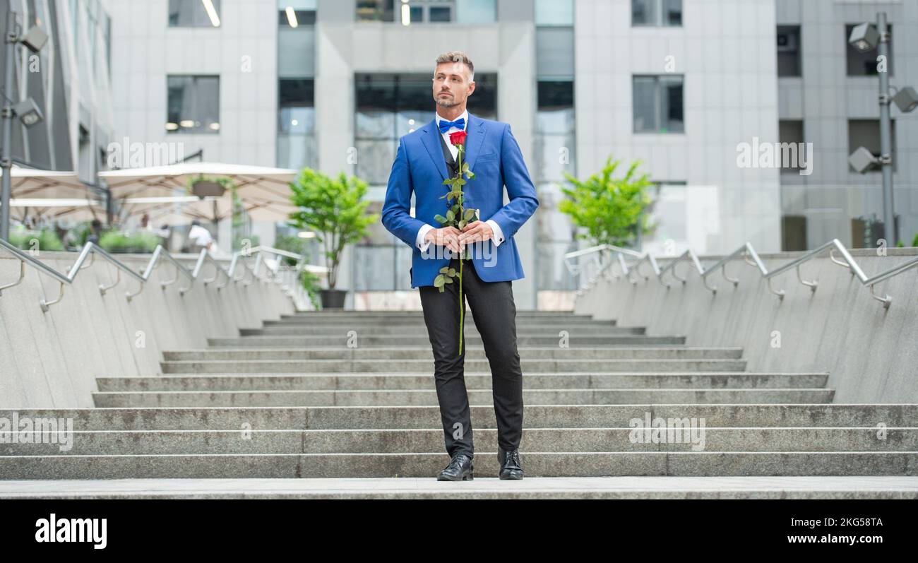 elegant man bridegroom in tuxedo. bridegroom wearing tuxedo bowtie ...