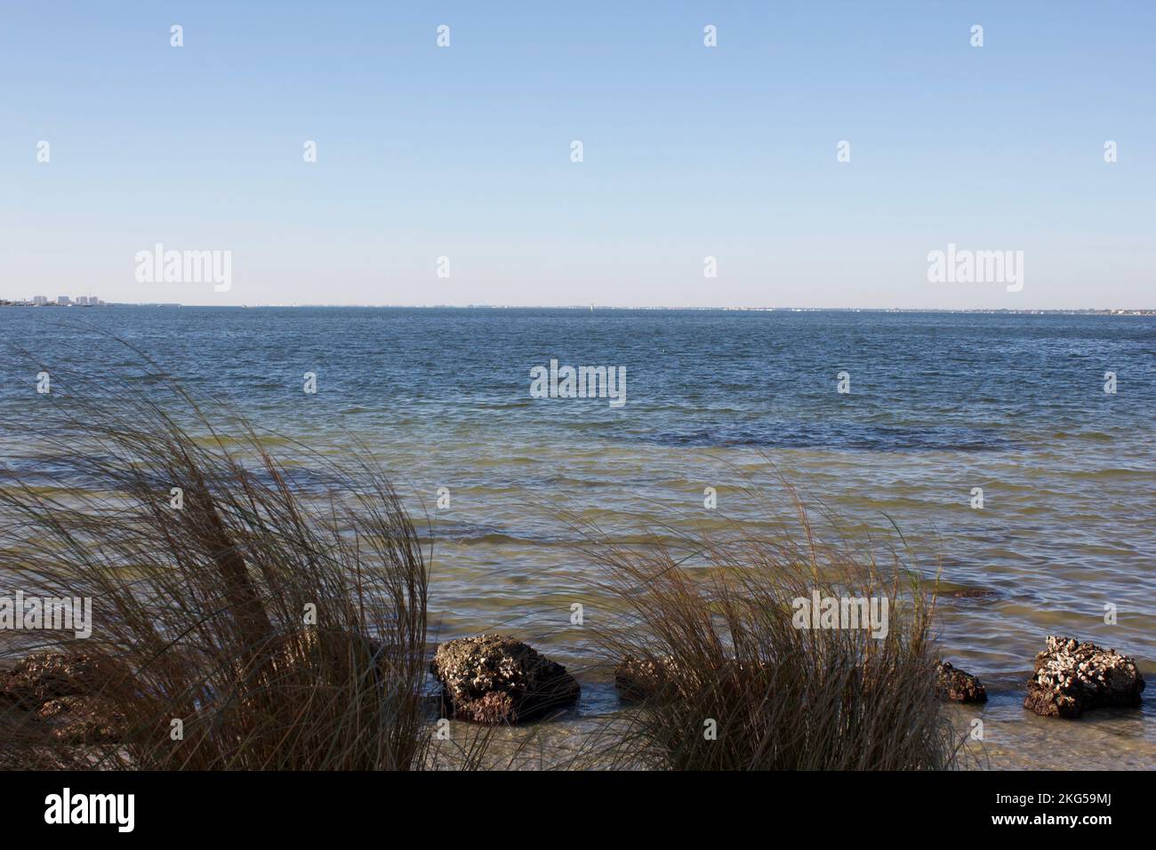 Beautiful seagrass and ocean Stock Photo - Alamy