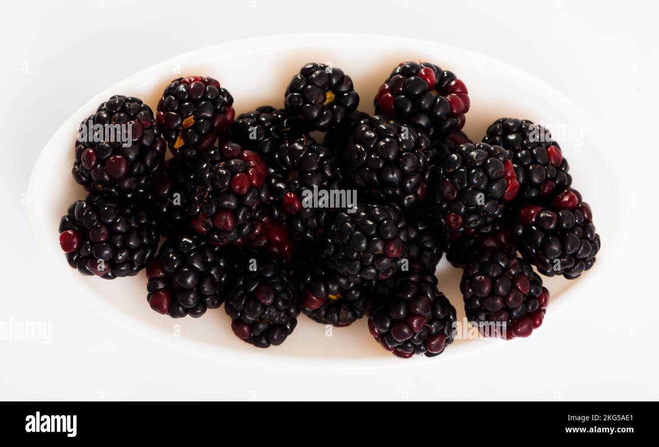 Fresh bramble on white background Stock Photo - Alamy