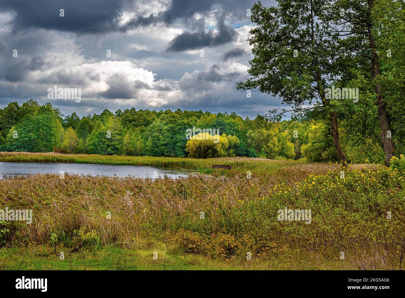 A forest nature reserve located near the town of Spychowo Polska Stock ...
