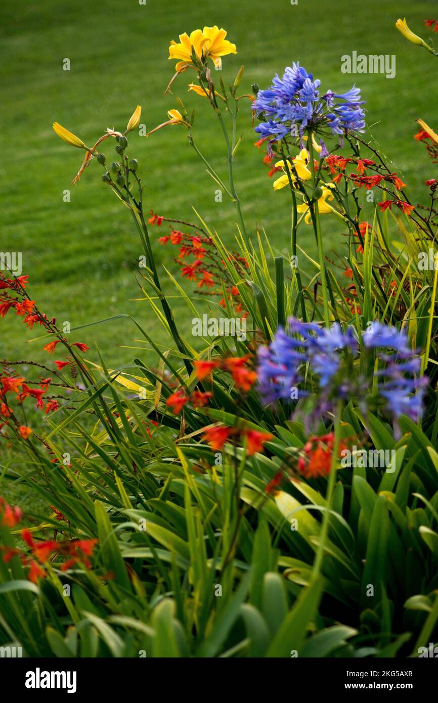 A selective focus vertical of colorful flowers in a garden Stock Photo ...