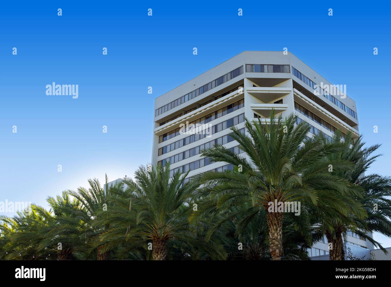 A high rise building with palm trees in the foreground with clear blue ...
