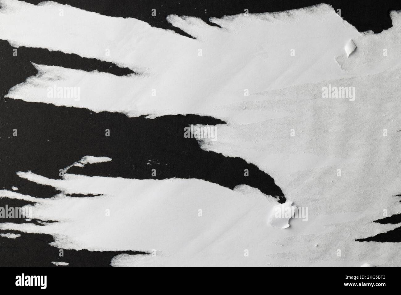 Ripped up pieces of white paper arranged on black background Stock ...