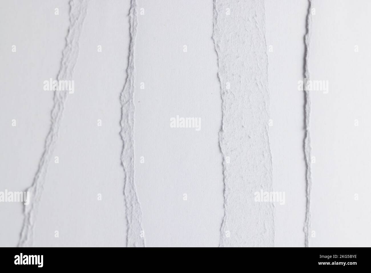 Ripped up pieces of white paper with copy space on white background ...