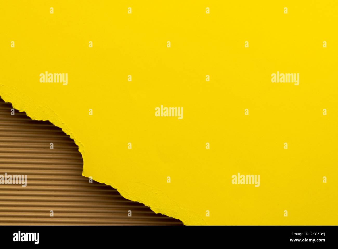 Ripped up pieces of yellow paper with copy space on cardboard ...