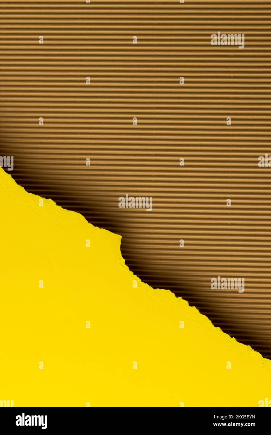 Ripped up pieces of yellow paper with copy space on cardboard ...
