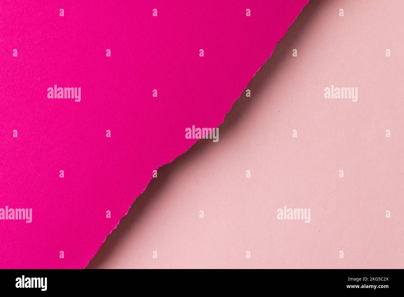 Ripped up pieces of pink paper with copy space on white background ...