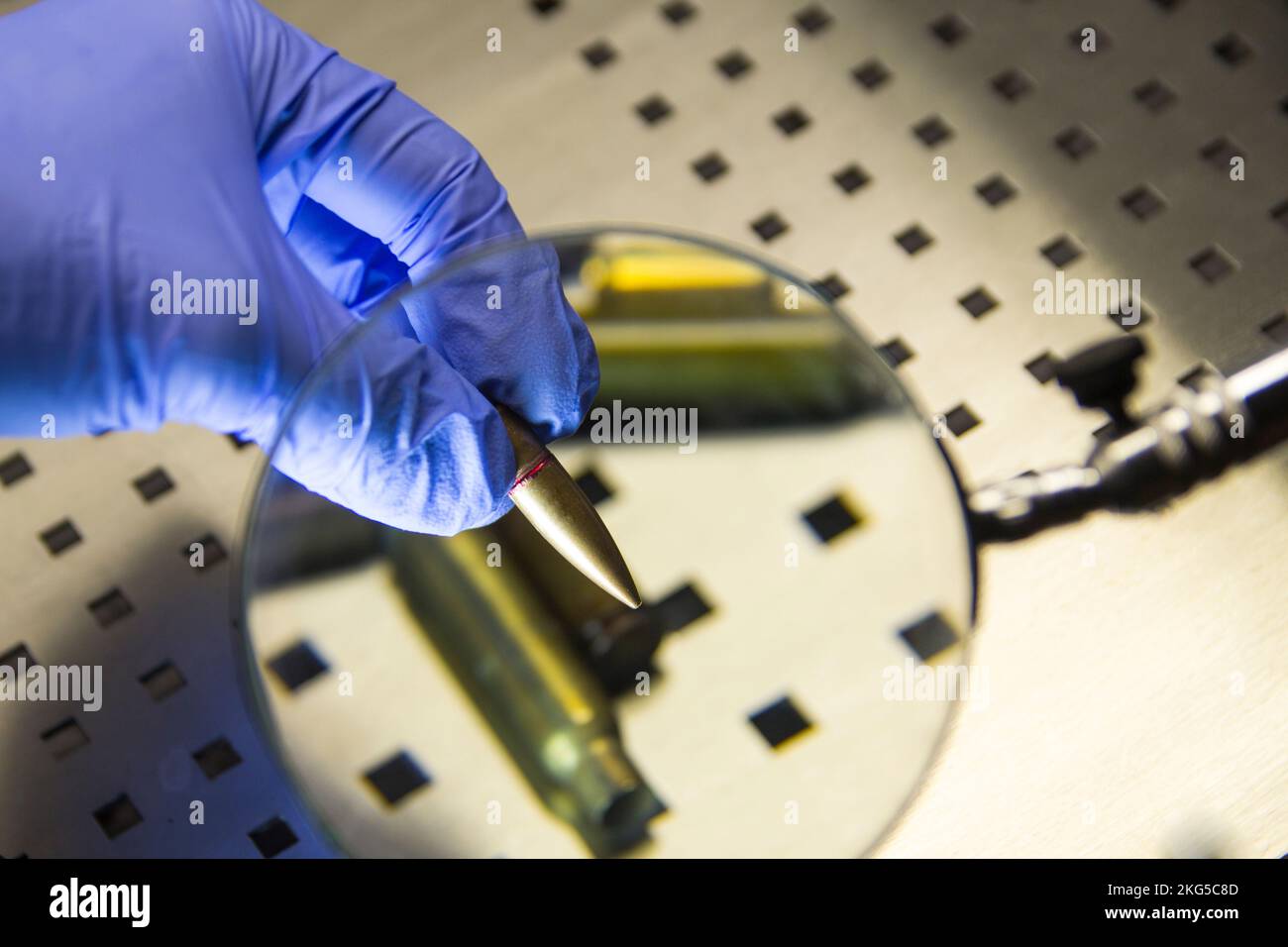 The hand of an expert in a rubber glove holds a bullet under a ...