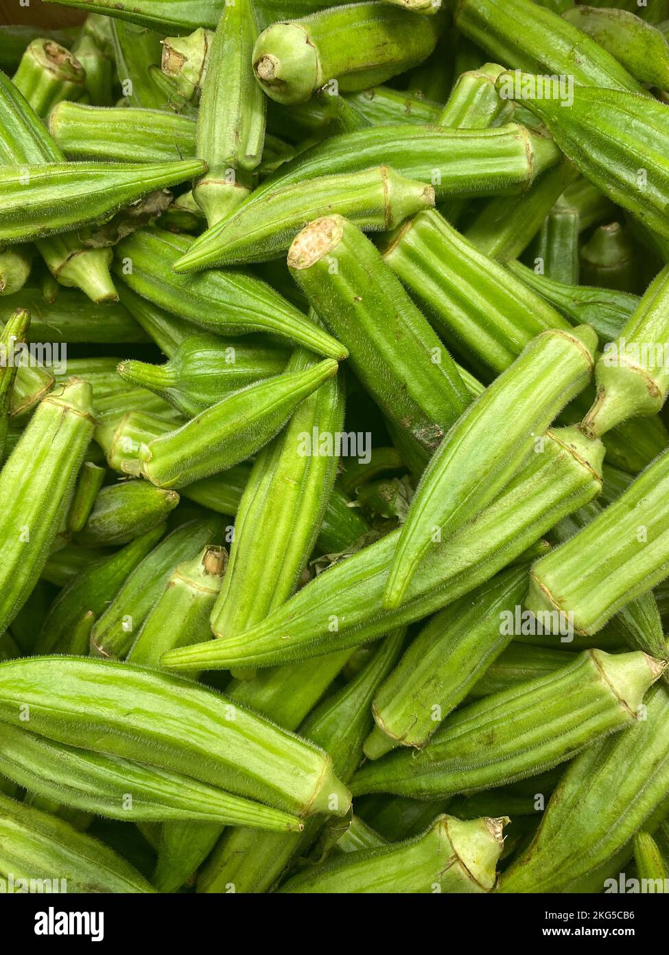 Fresh Green Okra, healthy food, close up view of Okra, background ...