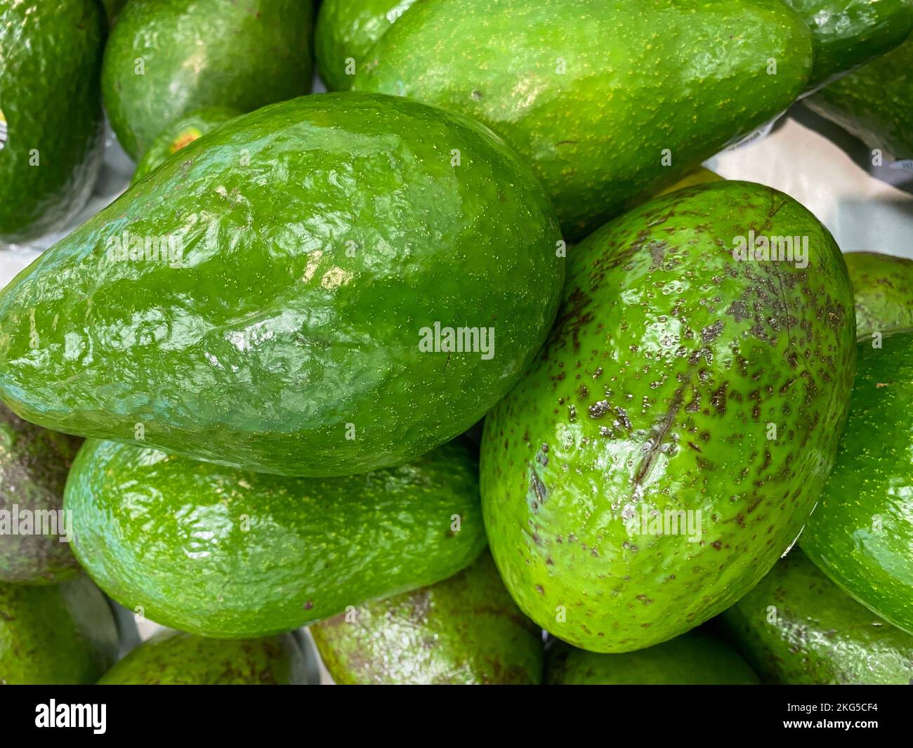 Avocado are very nutritious, contains variety of nutrients, green ...