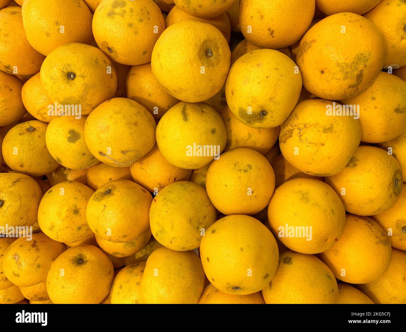 Fresh orange fruits as background, top view of orange on table, organic ...