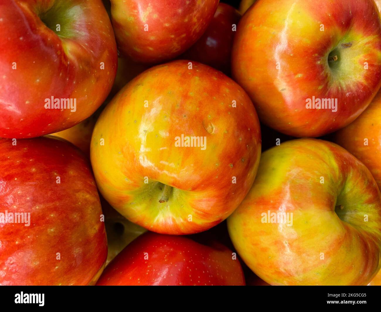 Red apples background, apples on the table, organic apples, healthy ...