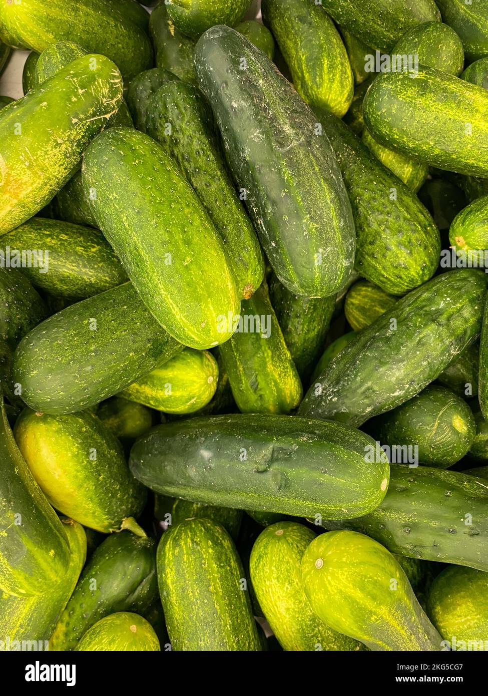 Cucumber background, cucumber harvest, group of cucumbers from the ...