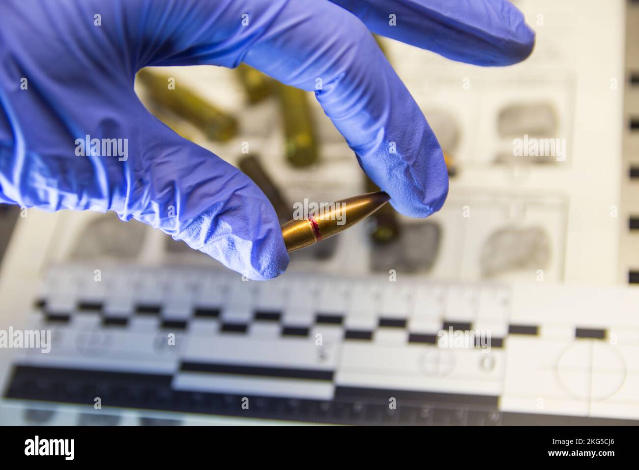 Hand in rubber glove hold a bullet against the background of a ...