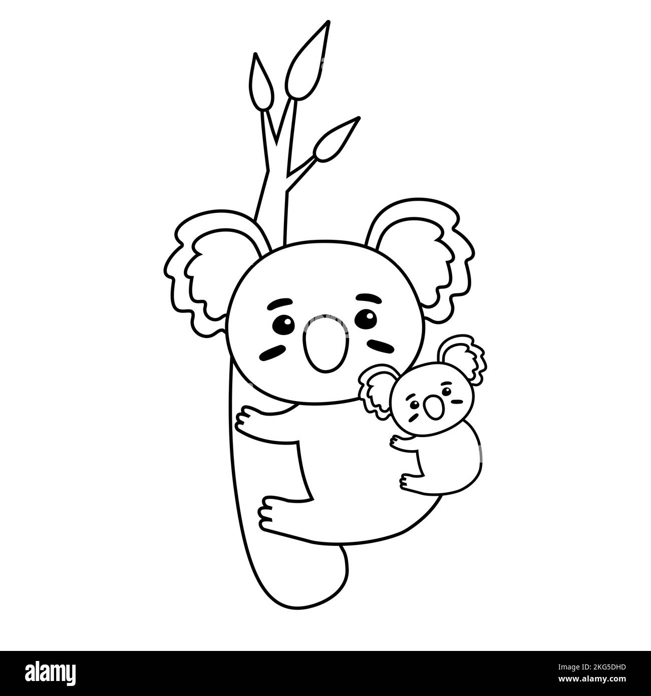 Vector flat outline koala on tree branch isolated on white background ...