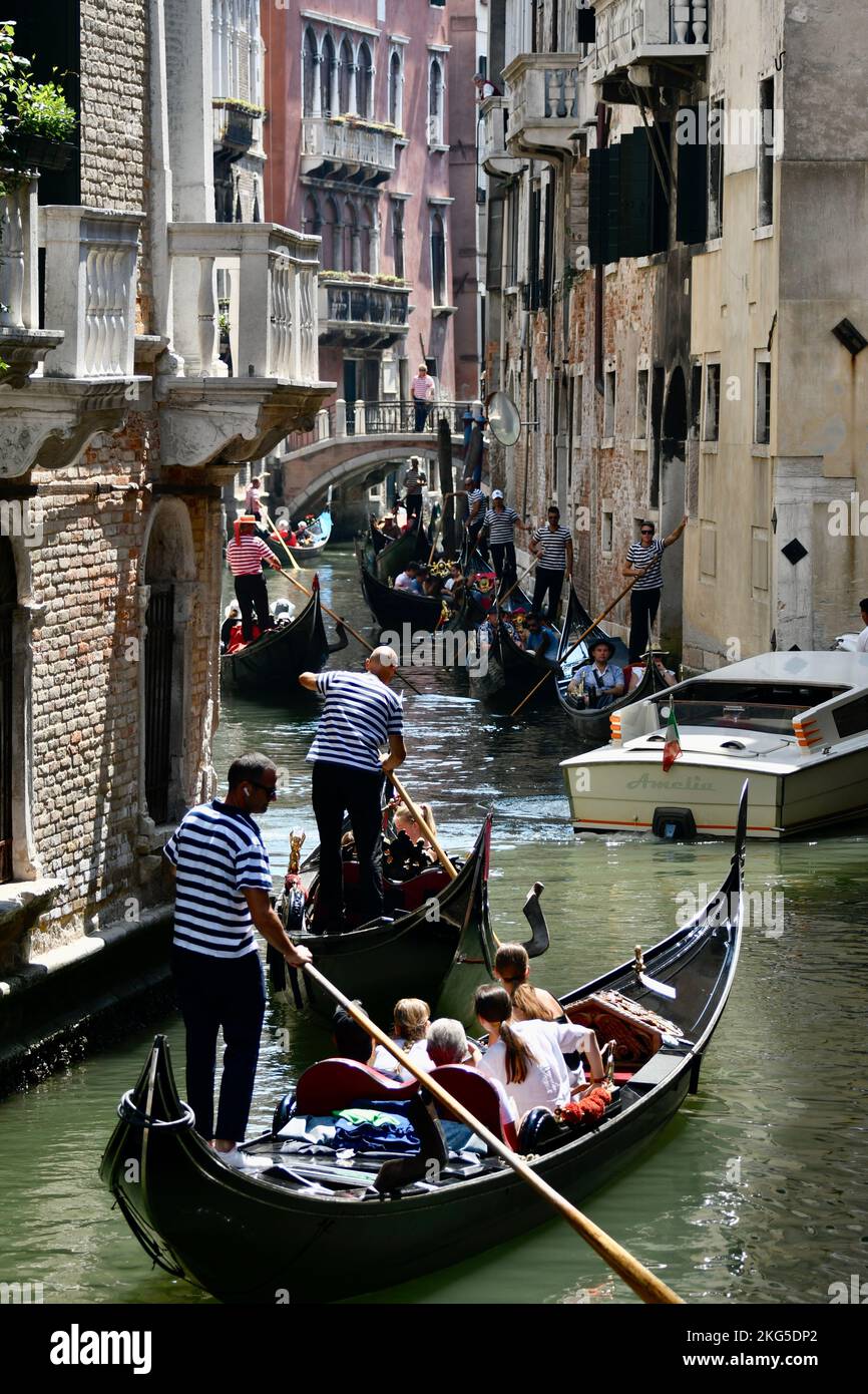 A vertical closeup shot of canoe riders taking tourists on a tour in ...