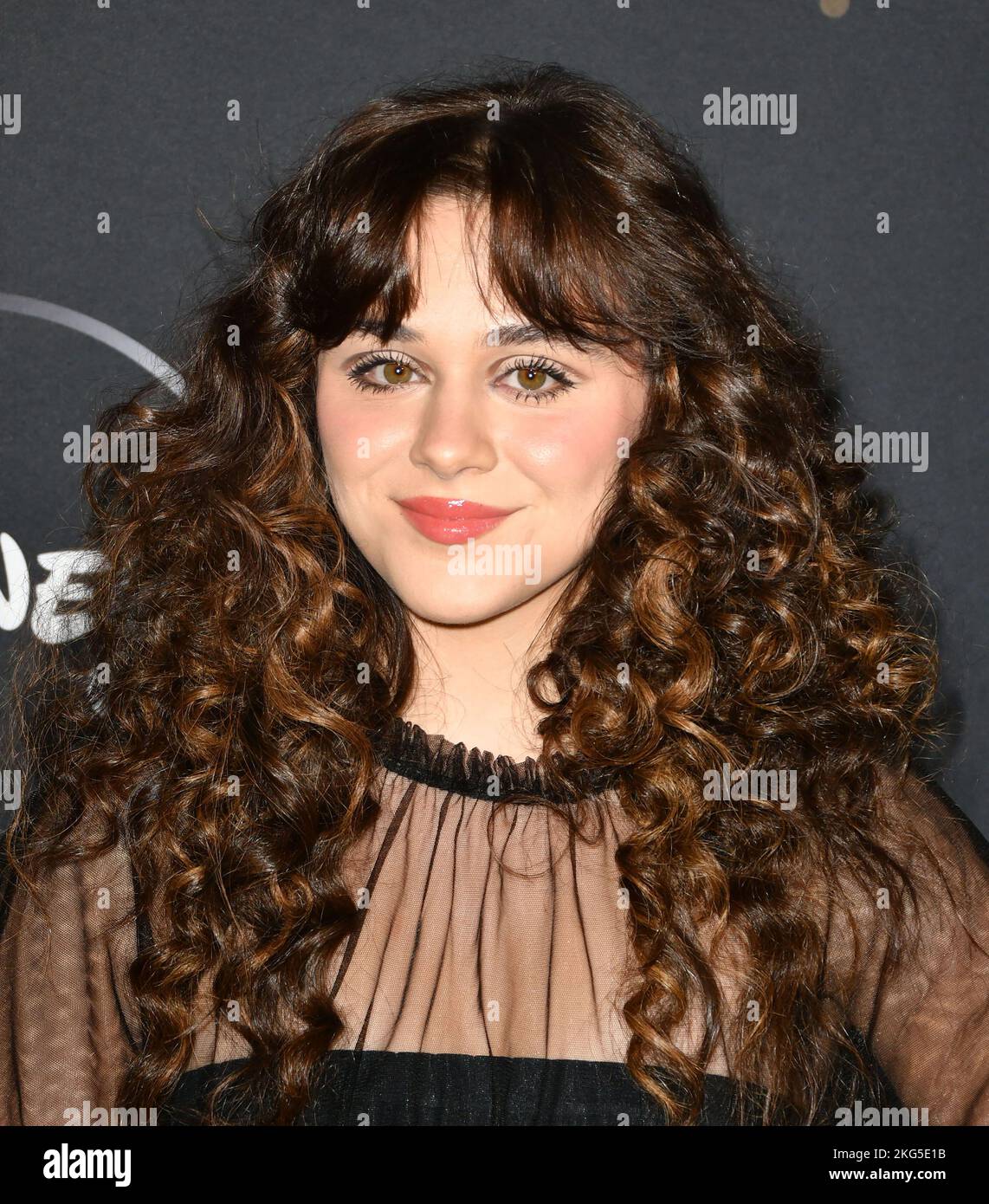 Disney+’s “Elton John Live: Farewell from Dodger Stadium” Yellow Brick ...