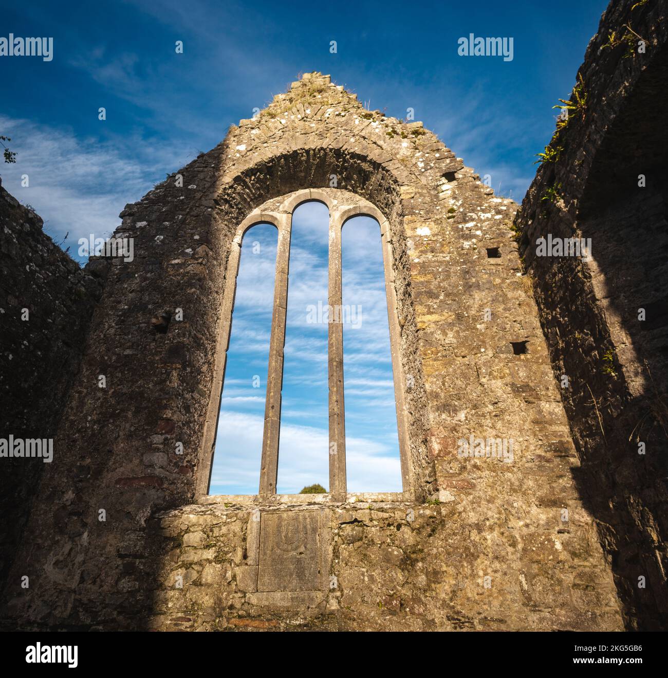 St Mary's Abbey in Duleek, Ireland Stock Photo - Alamy