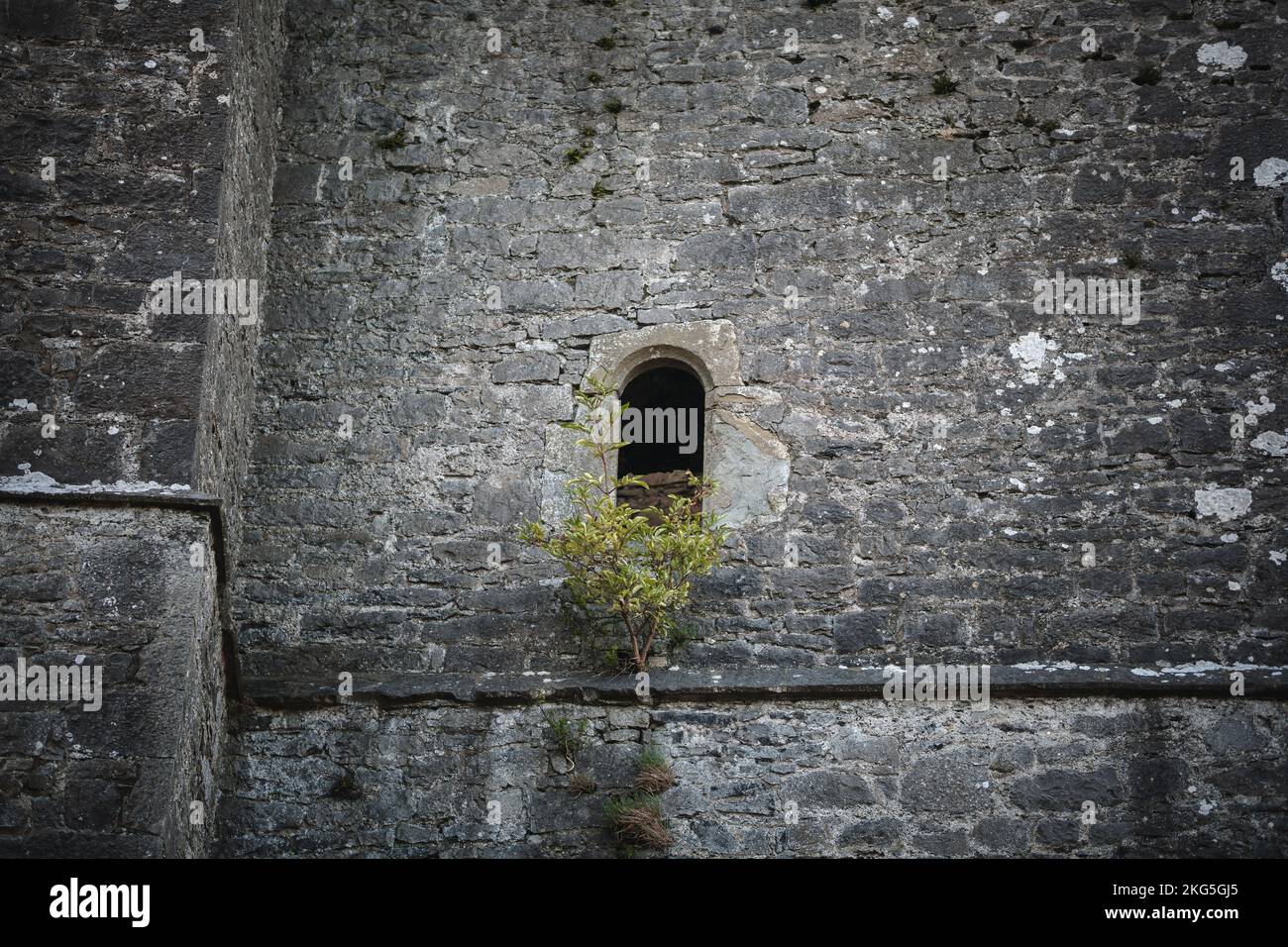 Duleek abbey hi-res stock photography and images - Alamy