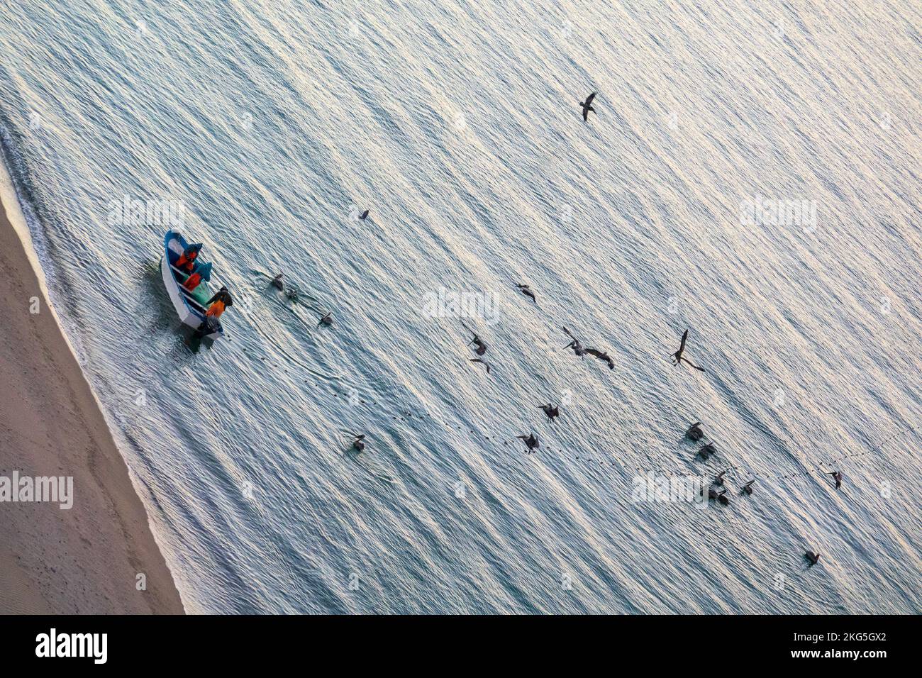 Small fishing Boat, Pelicans Stock Photo - Alamy