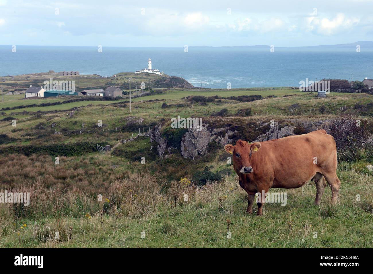 20221002 hi-res stock photography and images - Alamy