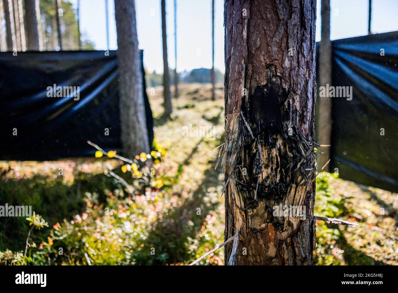Battle damage assessment hi-res stock photography and images - Alamy