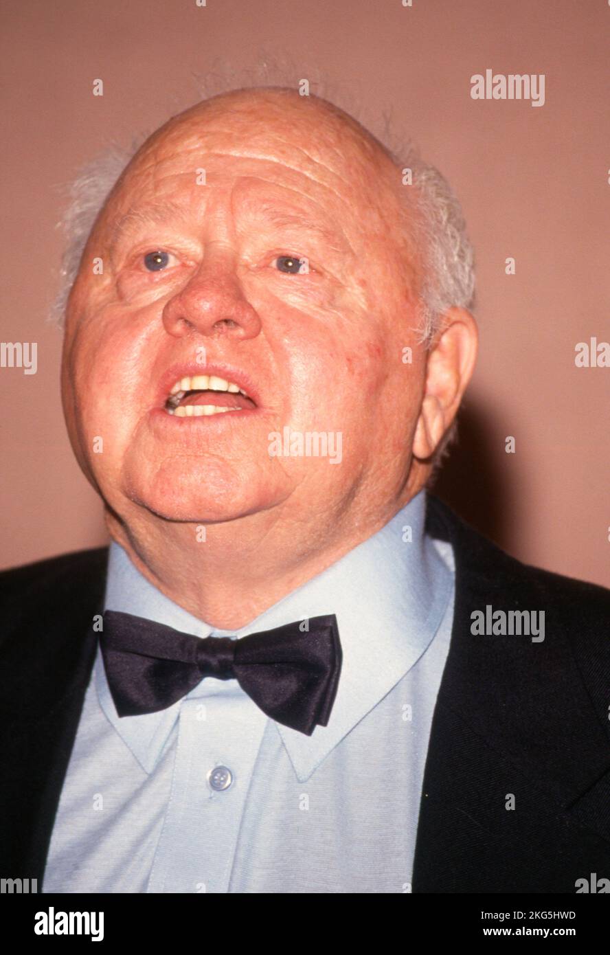 Mickey Rooney at the 48th Annual Golden Globe Awards at Beverly Hilton ...