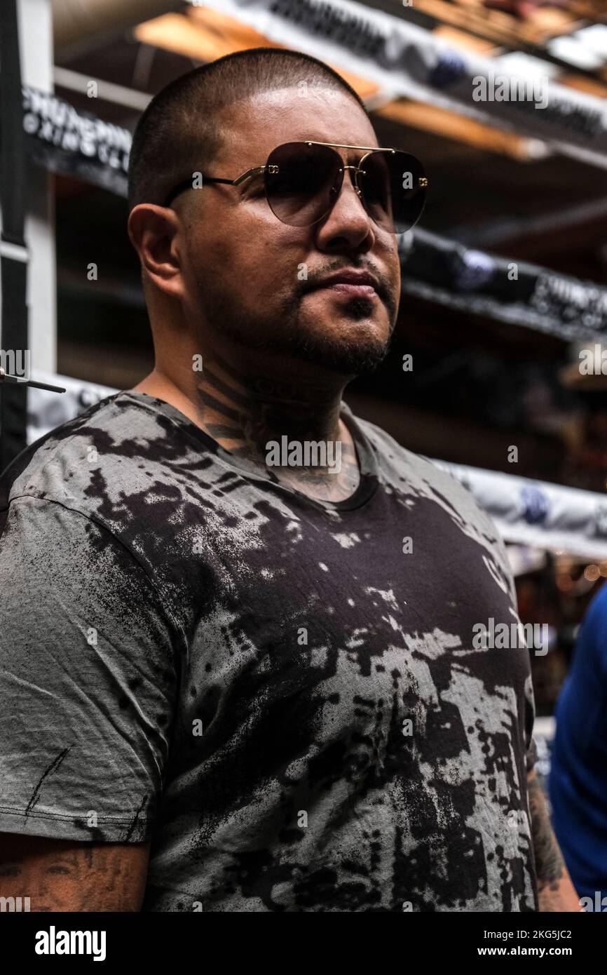 Los Angeles, CA, USA. 21st Nov, 2022. Boxing legend and former world ...
