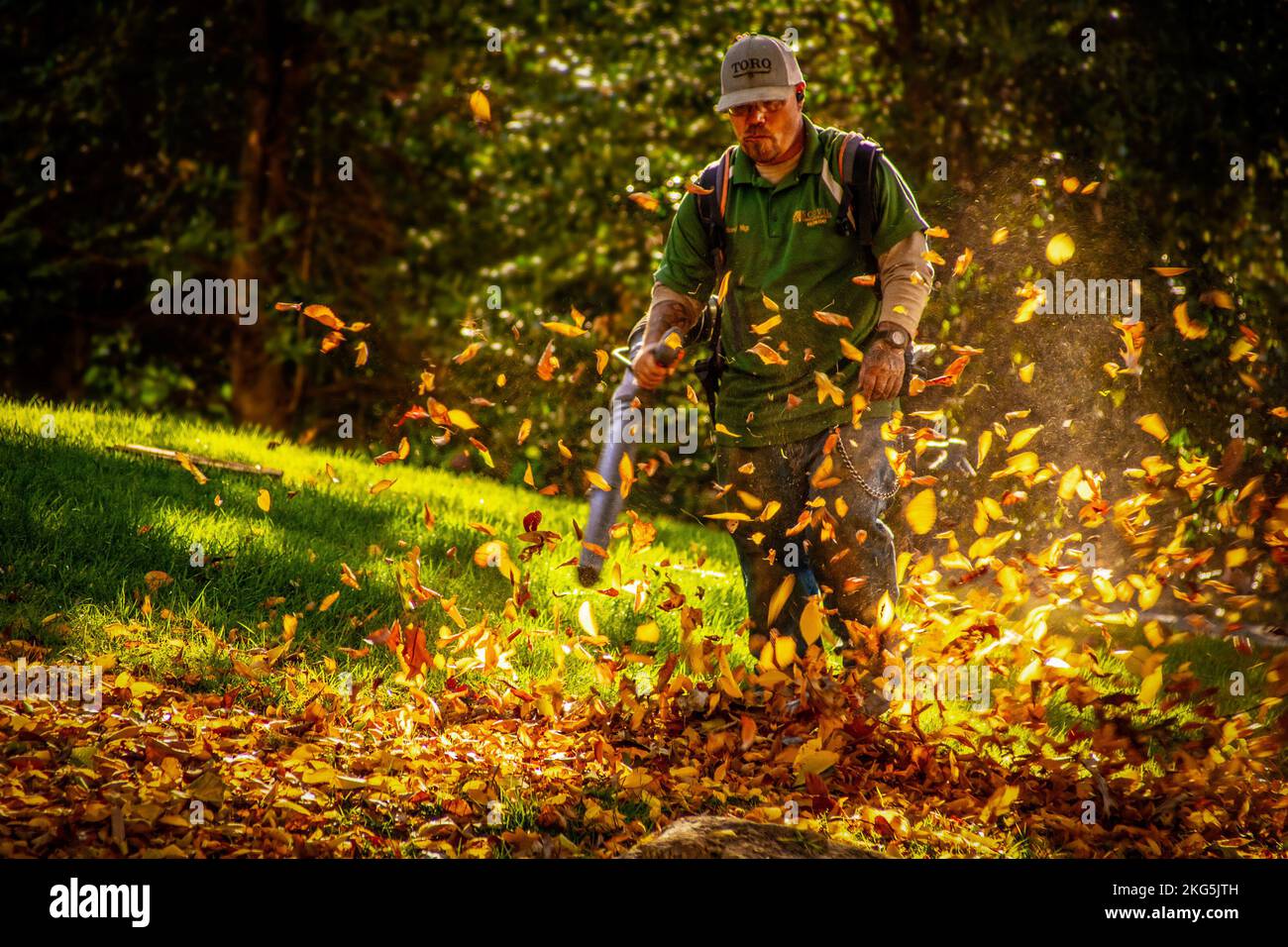 10-27-2022 Tulsa USA Man in ballcap using leafblower in hillside yard ...