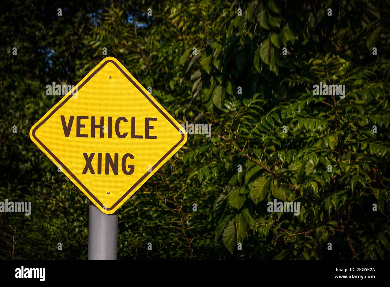 Closeup - Yellow Vehicle Xing Sign against dark green foliage Stock ...