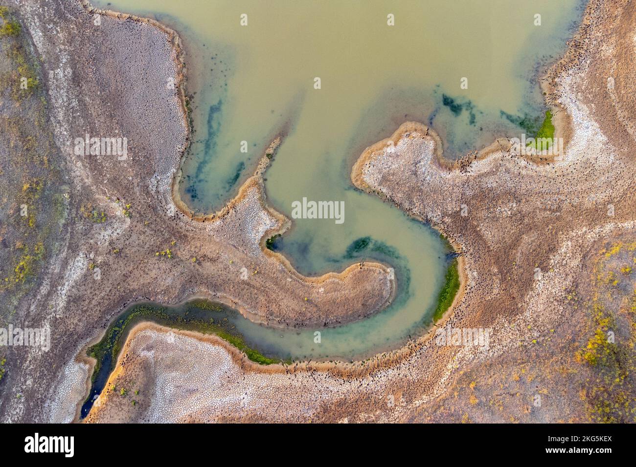 Drone top view of swamp. Swampy landscape. View of an marsh from height ...